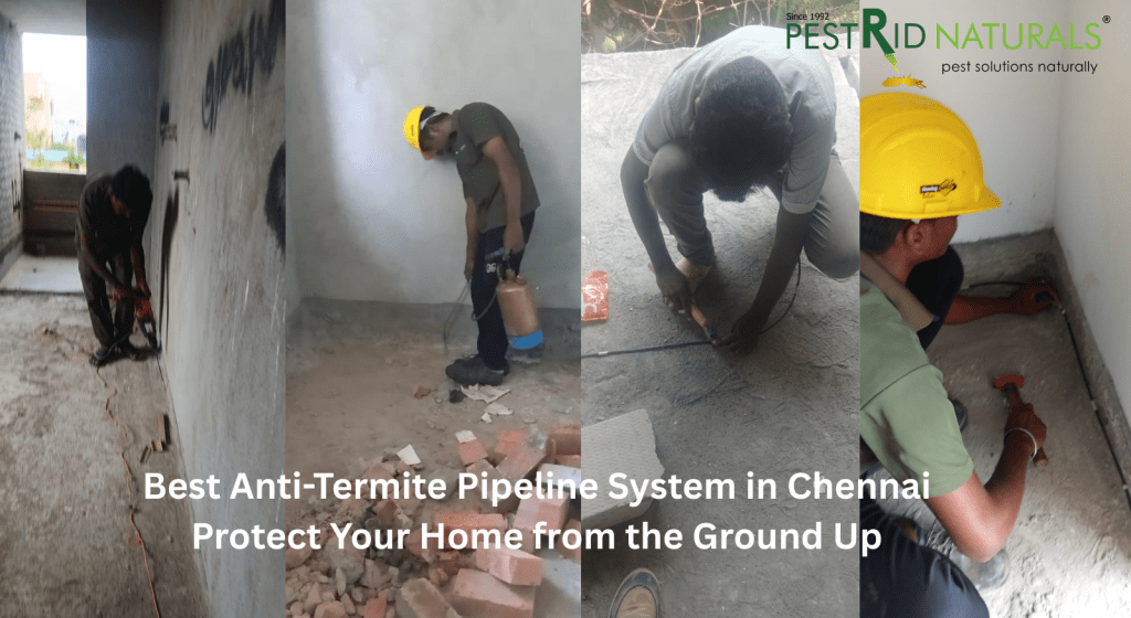 Best Anti-Termite Pipeline System in Chennai - Protect Your Home from ...